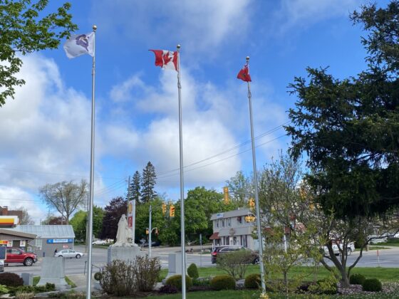 Community Flagpole in North Perth Referred to DEI Committee | The Ranch ...