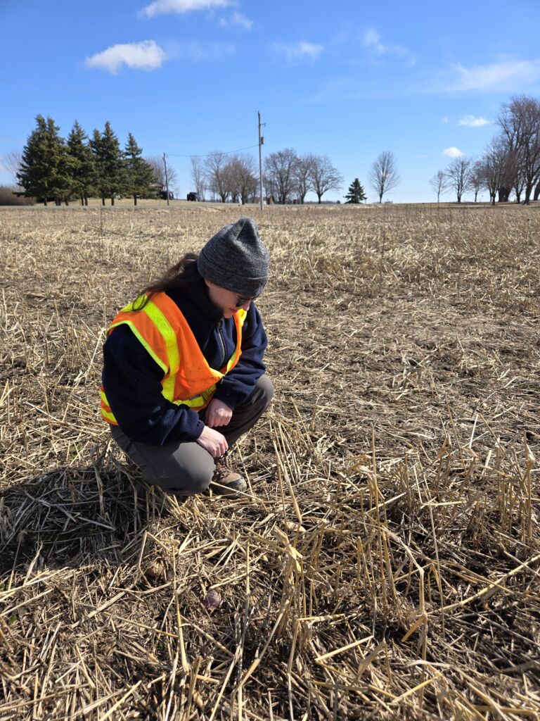 UTRCA Finds Success in Launch of Phosphorus Reduction Program | The ...